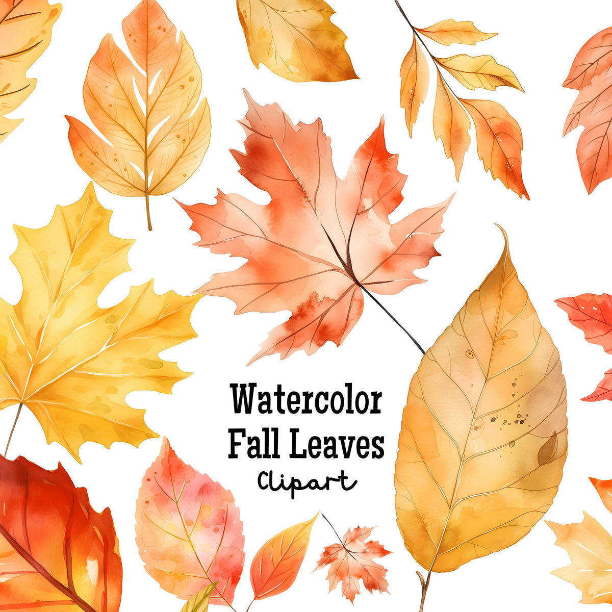 Fall Leaves Watercolor Clipart Set PNG – Kingdom Art Digitals